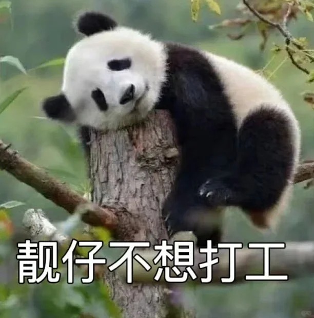 靓仔不想打工表情包_超清下载一键转发 - AI玩表情 | 51052.com