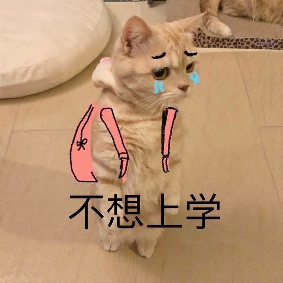 学习 上学难过 郁闷 Ai玩表情|51052