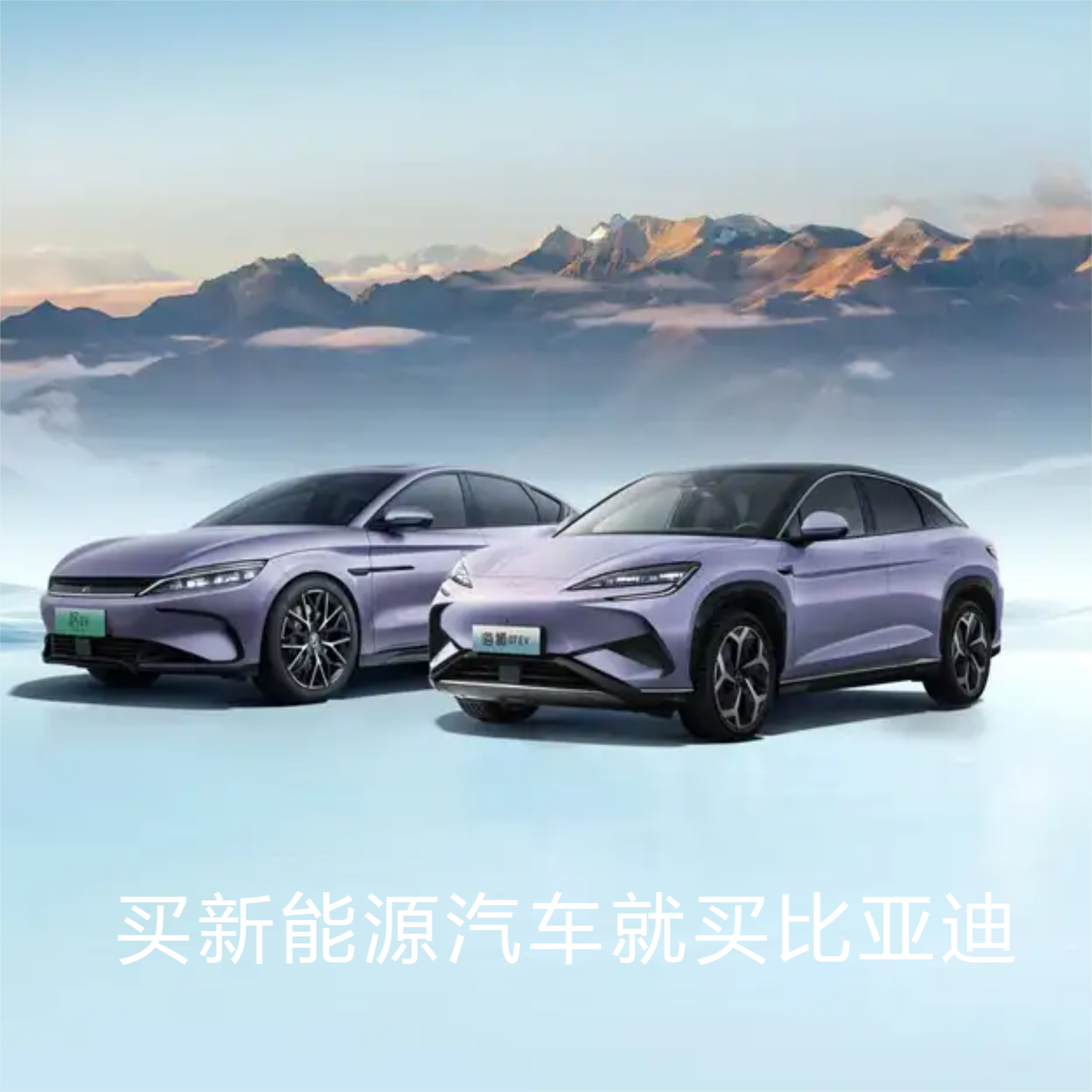 买新能源就买比亚迪 比亚迪 销量 新高 新能源汽车-Ai玩表情-51052.com